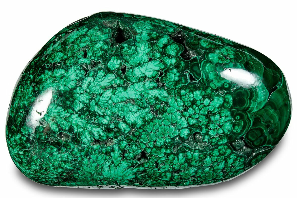 3.9" Flowery Polished Malachite Specimen - DR Congo (#288209) For Sale ...