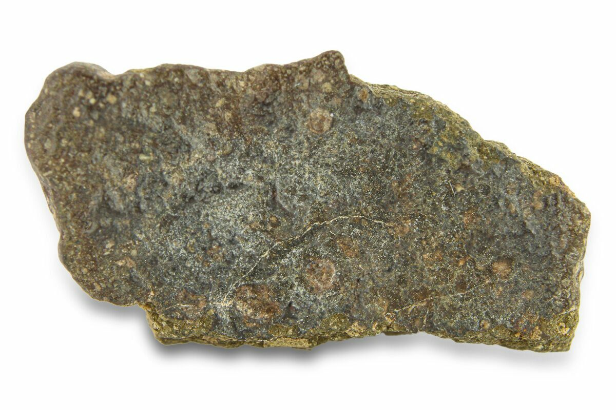 .71" Abadla 002 CM2 Chondrite Meteorite (0.76 g) - Algeria (#291480 ...