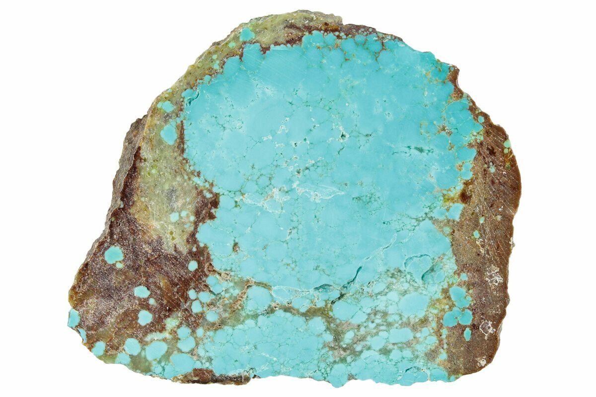 2.8" Polished Turquoise Slab - Number 8 Mine, Carlin, NV (#292311) For ...