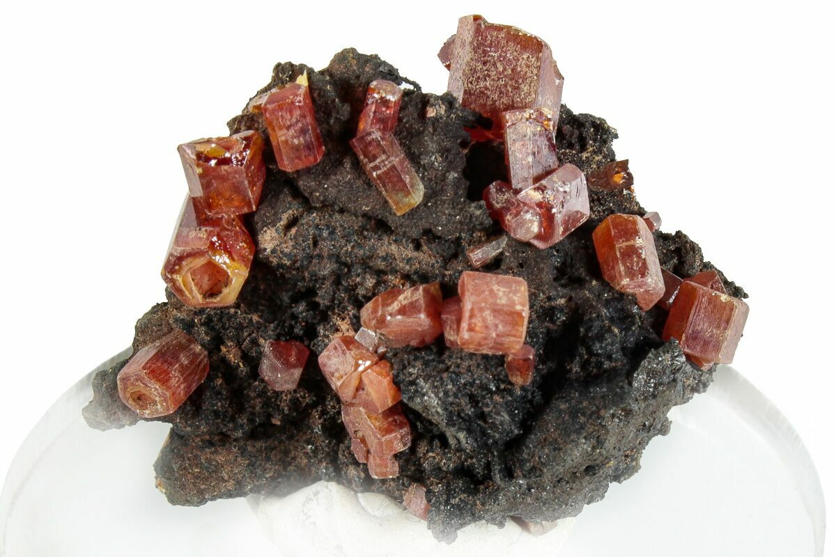1.2" Small Red Vanadinite Crystals on Goethite - Morocco (#292913) For ...
