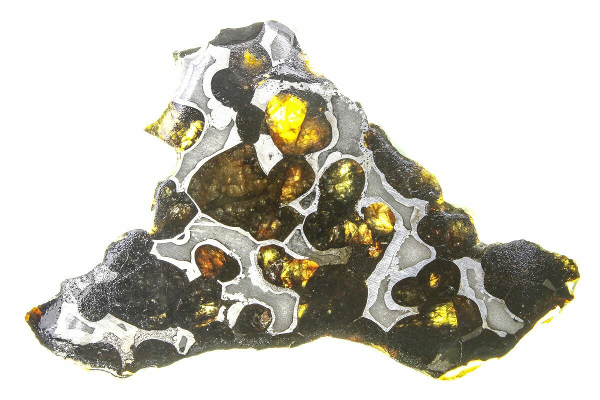 2.4" Brenham Pallasite Meteorite (12.1 g) Slice - Kansas (#294797) For ...
