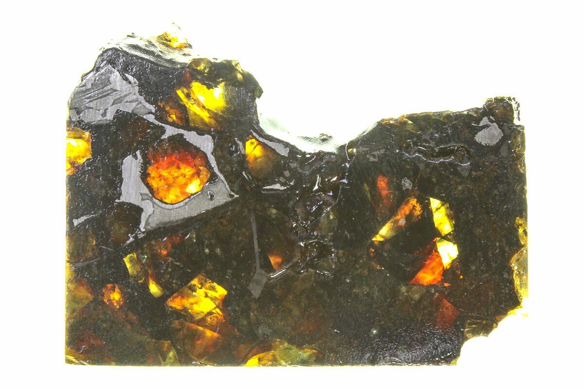 1.69" Polished Admire Pallasite Meteorite (11.3 g) Slice - Kansas ...