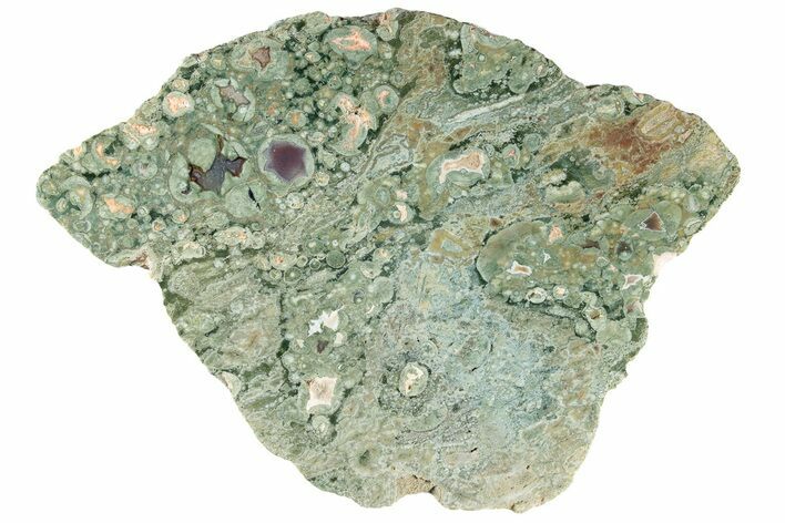 7.8" Polished Rainforest Jasper (Rhyolite) Slab - Australia (#221931 ...