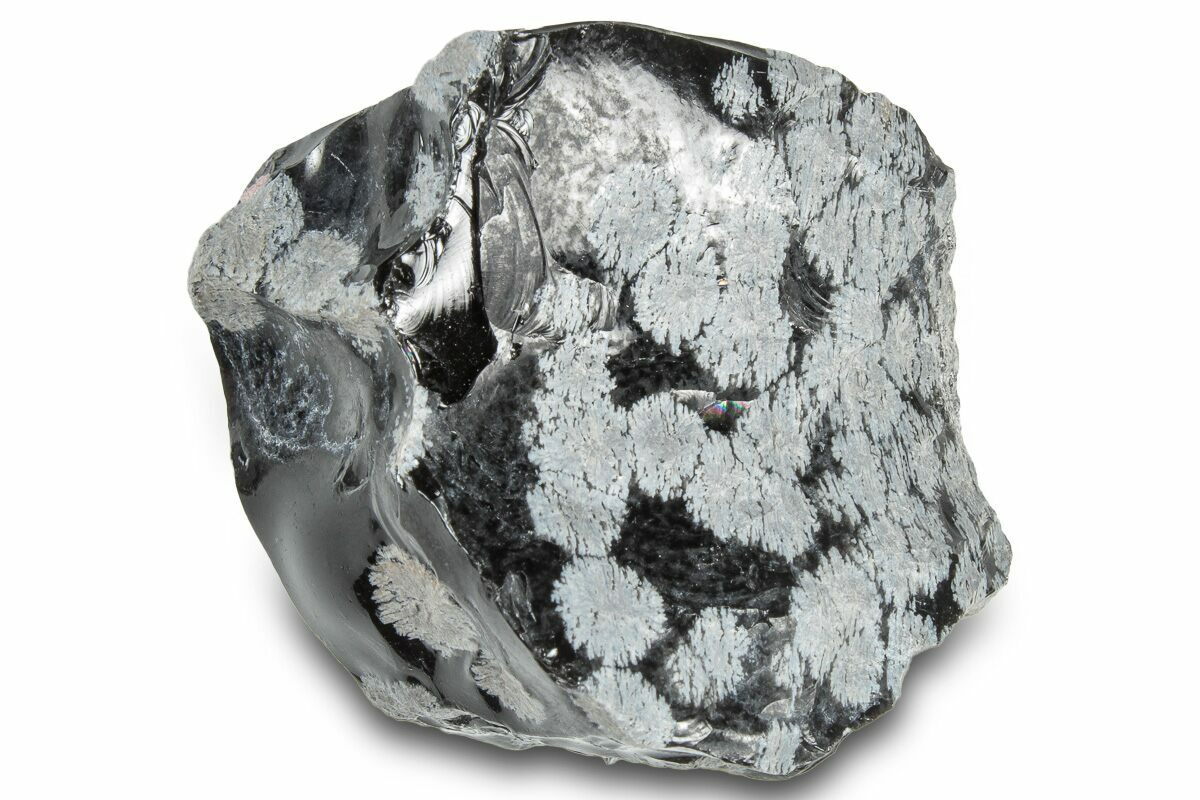 1.6" Snowflake Obsidian Section - Utah (#300236) For Sale - FossilEra.com