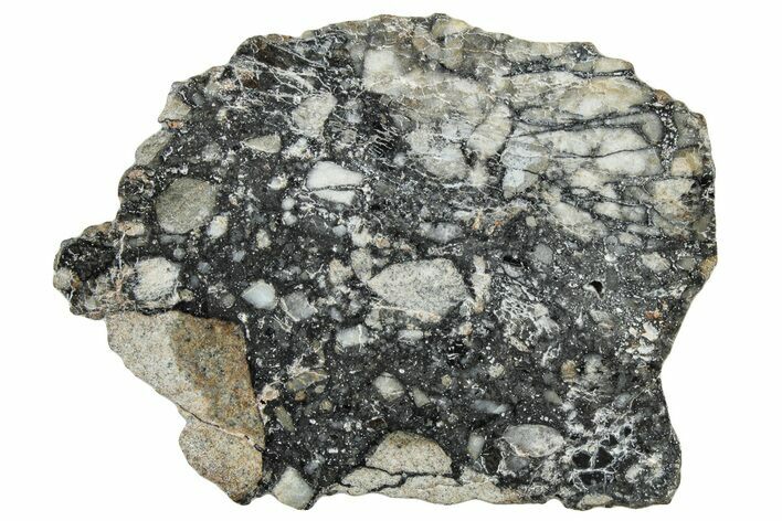 2.49" Polished Lunar Meteorite (6.97 g) Slice - Ajdabiya 001 (#301088 ...