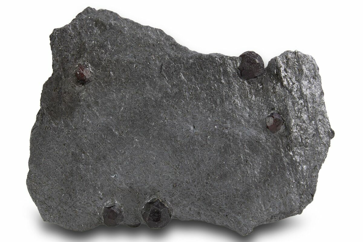 3.45" Plate of Five Red Embers Garnets in Graphite - Massachusetts ...
