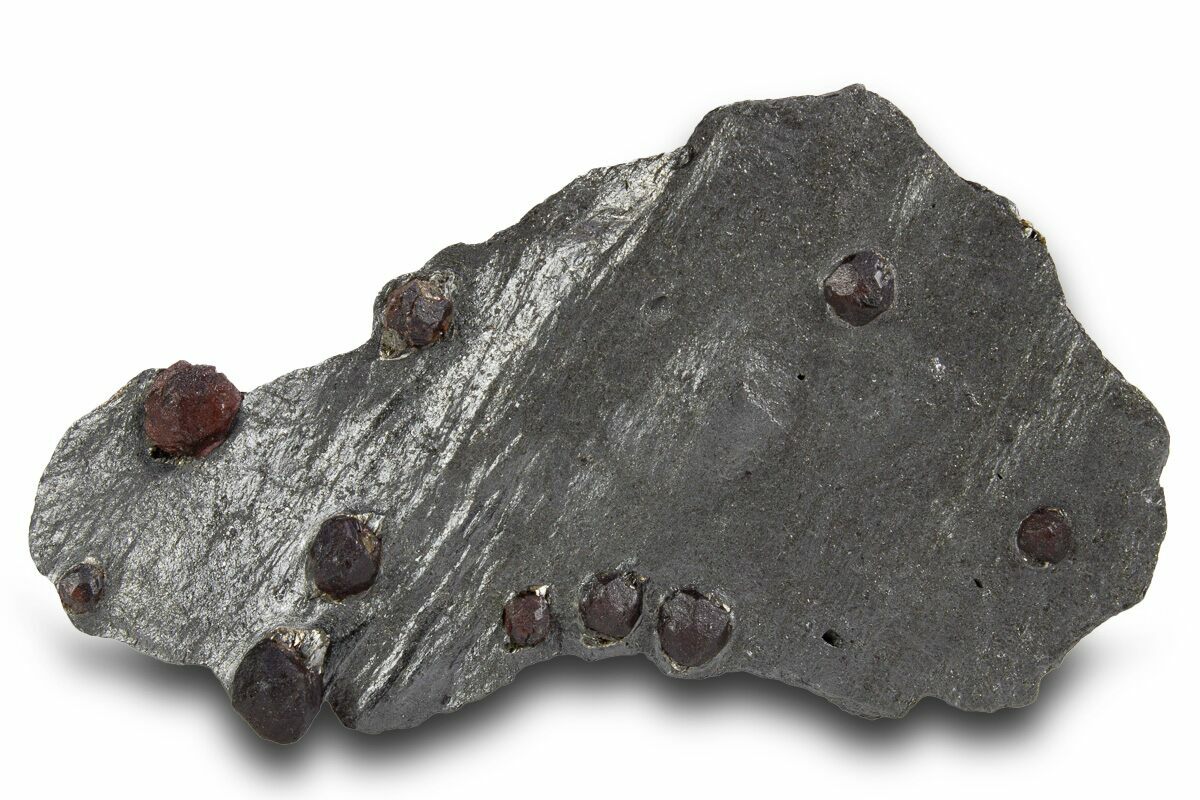 3.65" Plate of Ten Red Embers Garnets in Graphite - Massachusetts ...