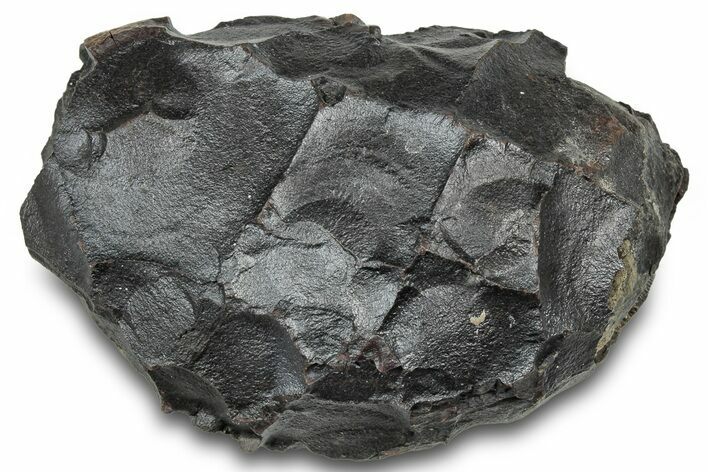 2.9" Dragon Scale Stone (Iron, Manganese, Siderite Nodule) (#302342 ...