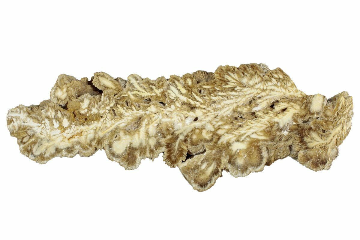 6.3" Polished Barite Slab - Lubin Mine, Poland (#302403) For Sale ...