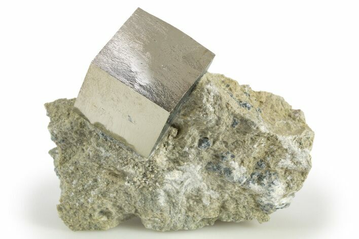 .76" Natural Pyrite Cube In Rock - Navajun, Spain (#304015) For Sale ...