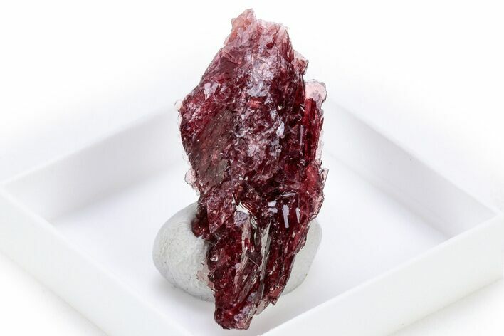 1" Lustrous Red Alurgite Crystal Cluster - South Africa (#305476) For ...