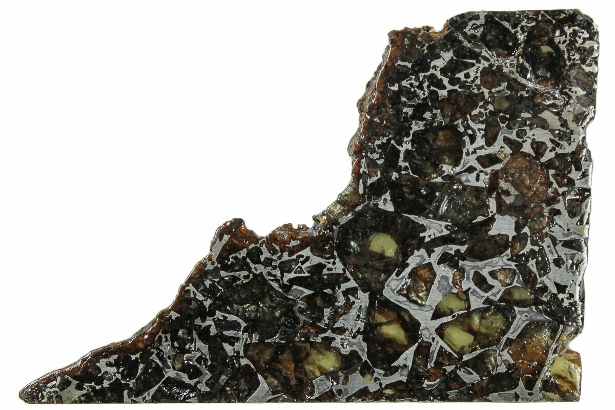 1.93" Polished Admire Pallasite Meteorite (7.54 g) Slice - Kansas ...