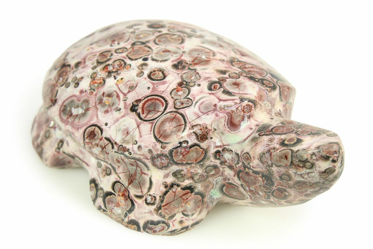 2.4" Carved Leopard Stone Turtle - Mexico (#308291) For Sale ...