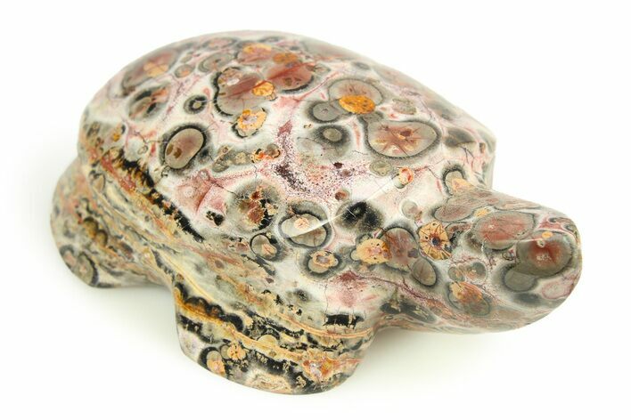 2.3" Carved Leopard Stone Turtle - Mexico (#308295) For Sale ...