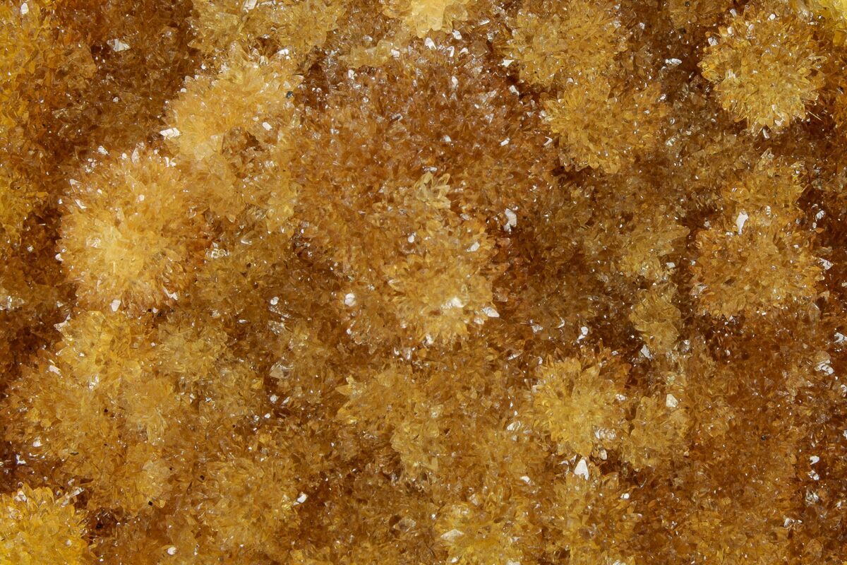 2.6" Intense Orange Calcite Crystal Cluster - Poland (#311462) For Sale ...