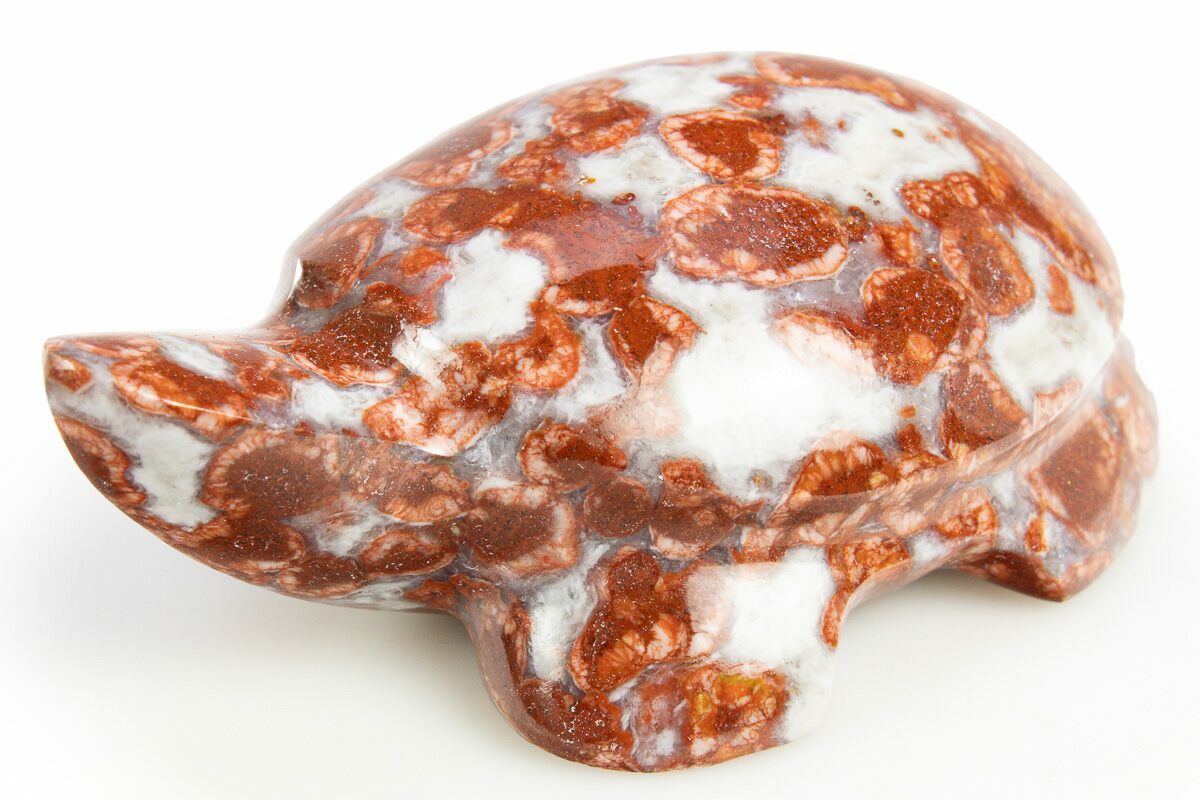 2.2" Polished Red Flower Marble Turtle - India (#311885) For Sale - FossilEra.com