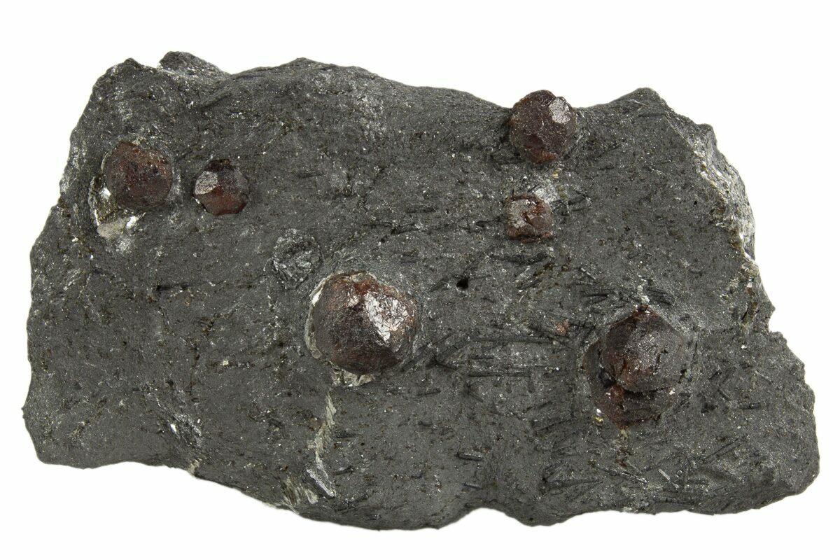 2.4" Plate of Six Red Embers Garnets in Graphite - Massachusetts ...