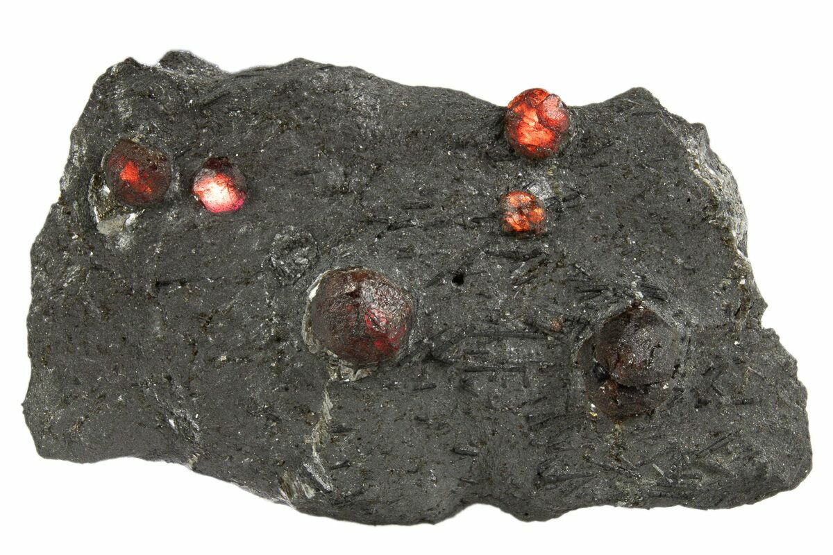 2.4" Plate of Six Red Embers Garnets in Graphite - Massachusetts ...