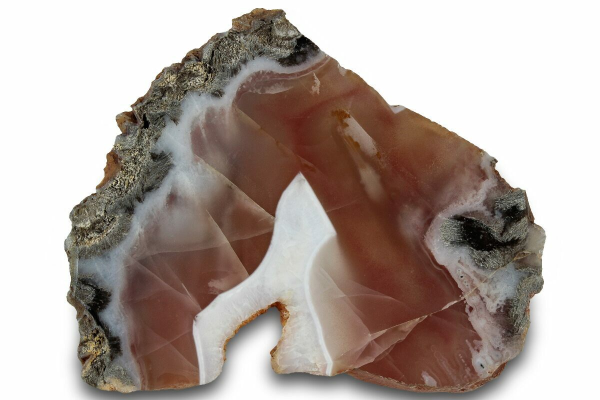 3.3" Polished Pilbara Agate Slice - Oldest Known Agate (#314435) For ...