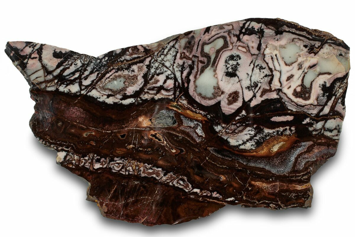 8" Polished Outback Jasper Slab - Western Australia (#314444) For Sale ...
