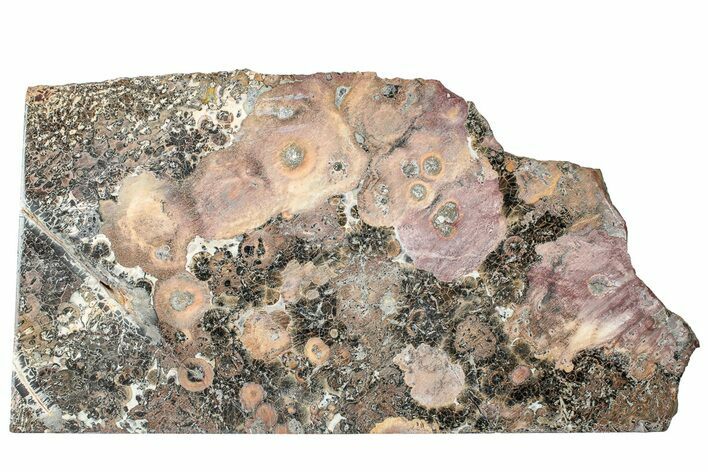 7.45" Polished Bird's Eye Jasper (Rhyolite) Slab - Mexico (#314998) For ...