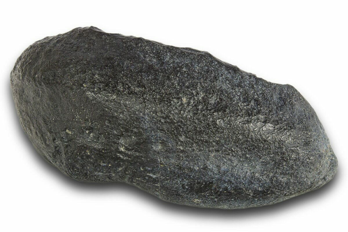 3.5" Large, Fossil Whale Ear Bone - South Carolina (#321095) For Sale ...