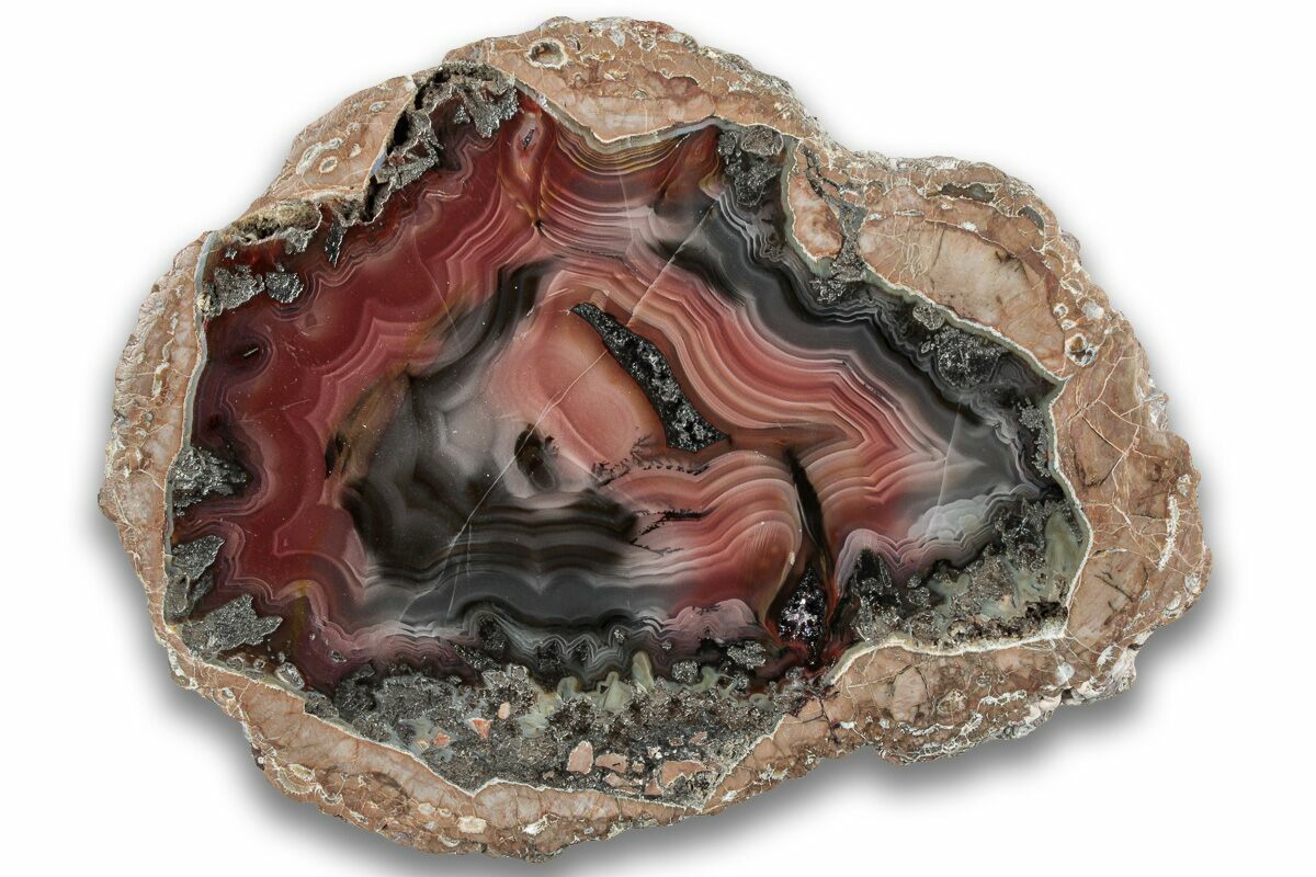 3.6" Polished Baker Ranch Thunderegg (Half) - New Mexico (#323769) For ...