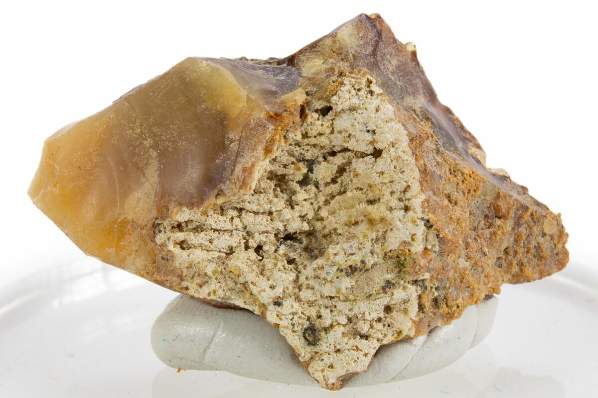 1.4" Rough Oregon Fire Opal (#324052) For Sale - FossilEra.com