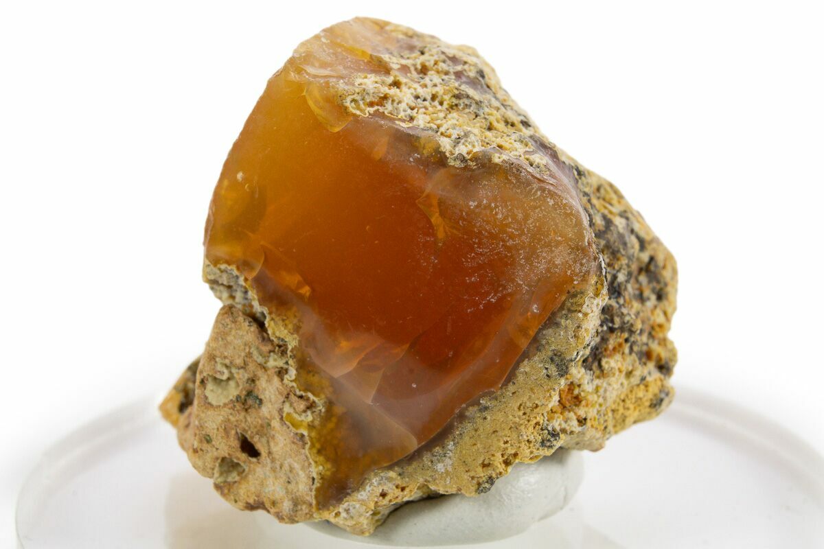 1.45" Rough Oregon Fire Opal (#324053) For Sale - FossilEra.com