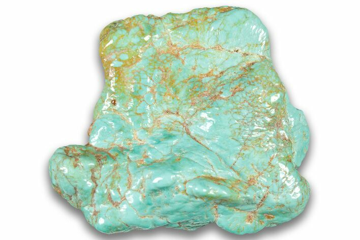 1.92" Polished Chilean Turquoise (30.6 grams) Nugget (#324107) For Sale ...