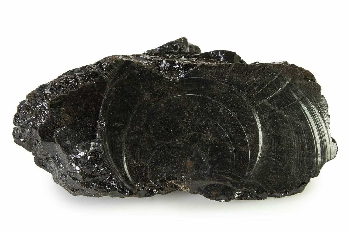2.6" Lustrous Gilsonite Specimen - Uintah Basin, Utah (#327037) For ...