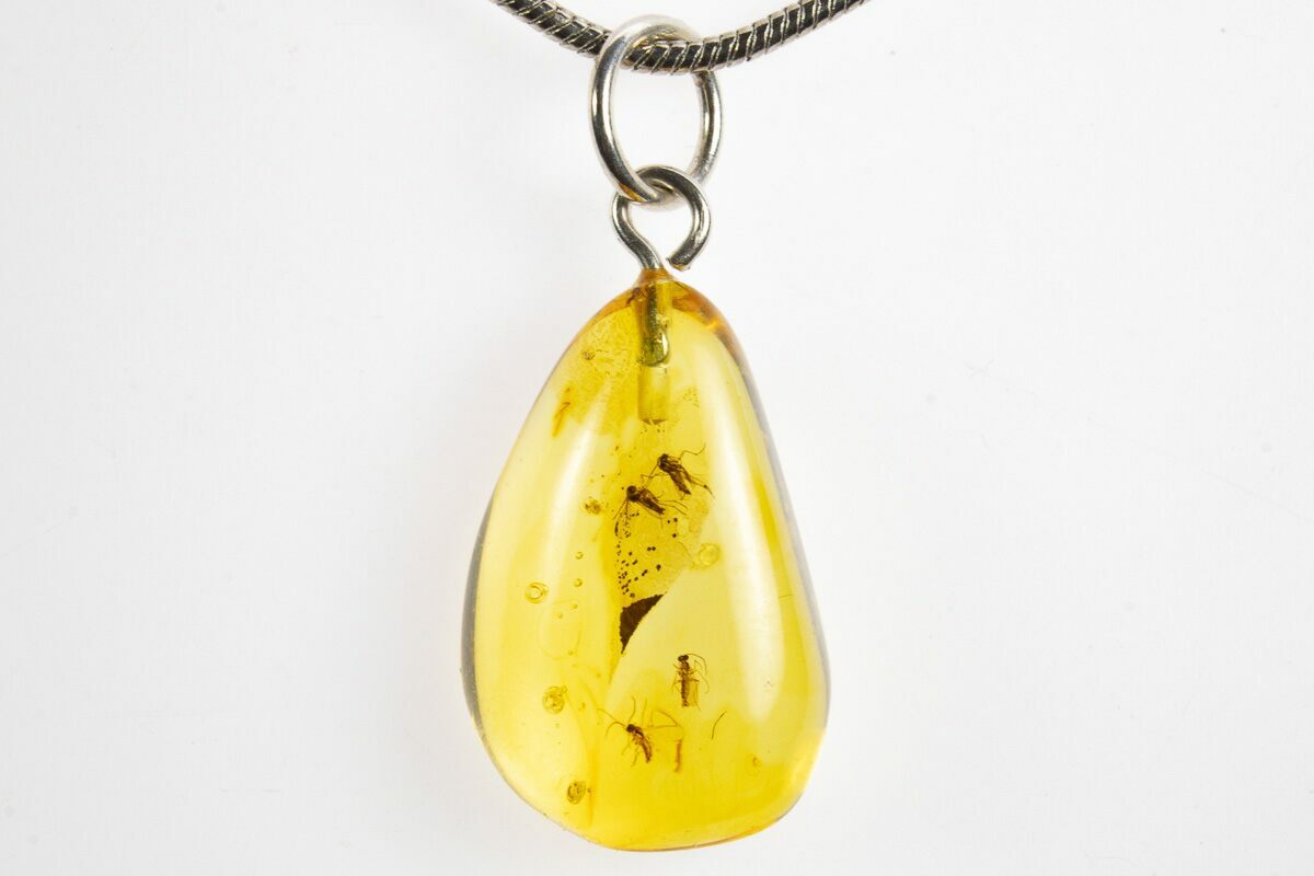 .8" Polished Baltic Amber Pendant (Necklace) - Contains Four Flies ...