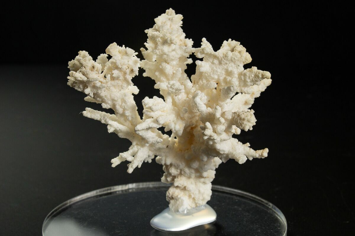 2.45" Intricate, Fluorescent Aragonite Formation - Nevada (#327490) For ...