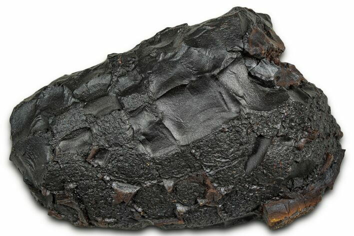 2.5" Dragon Scale Stone (Iron, Manganese, Siderite Nodule) (#330280 ...