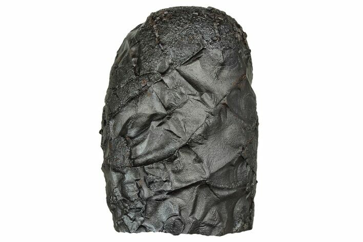 3.2" Dragon Scale Stone (Iron, Manganese, Siderite Nodule) (#330316 ...