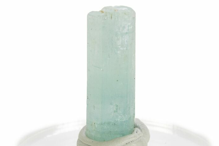 1.01" Gemmy Vanadium Emerald Beryl Crystal - Nigeria (#333806) For Sale ...