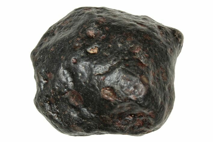 .90" Carbonaceous Chondrite Meteorite (7.96 g) - NWA 4502 (#334362) For ...