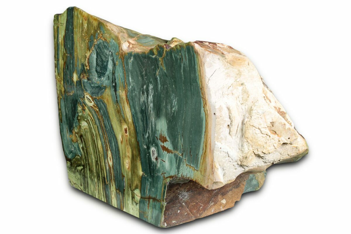 5.75" Free-Standing, Gary Green Jasper (Larsonite) Bog Wood - Oregon ...