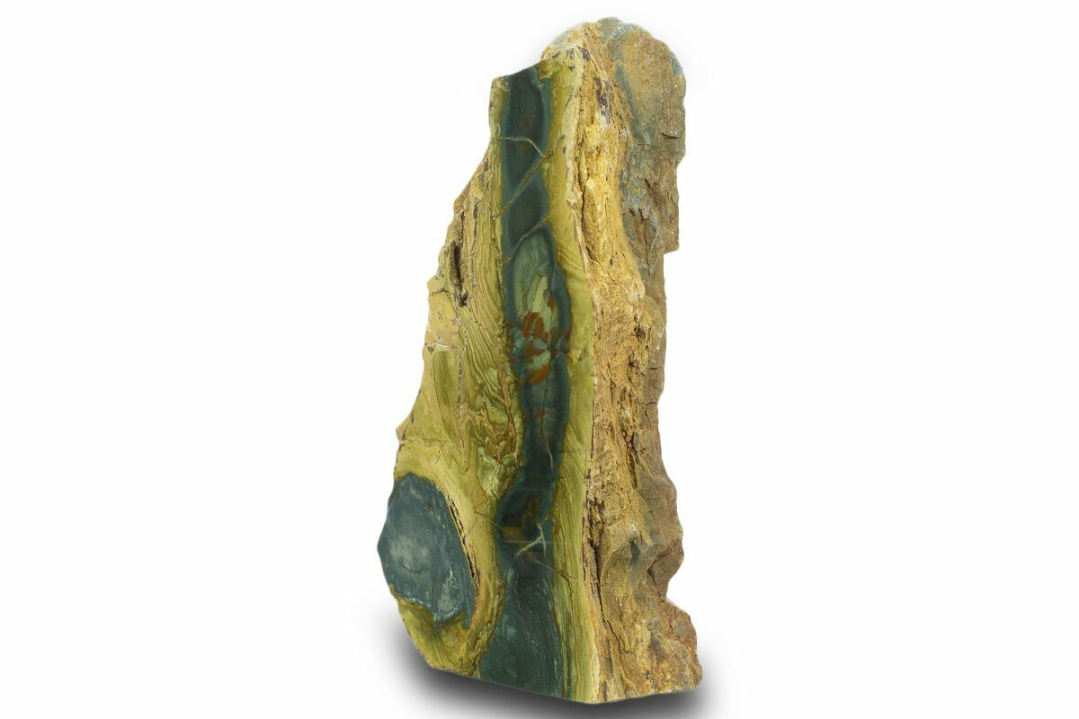 7" Free-Standing, Gary Green Jasper (Larsonite) Bog Wood - Oregon ...