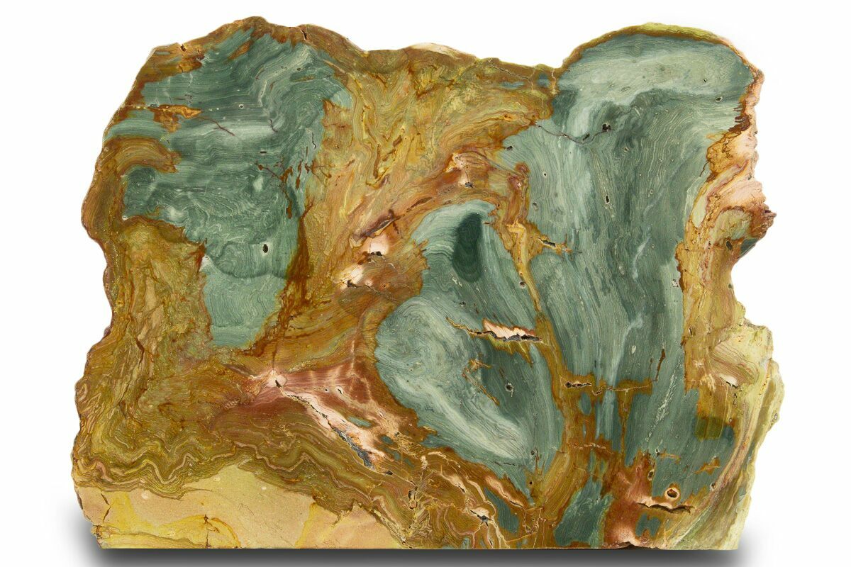 7.3" Free-Standing, Gary Green Jasper (Larsonite) Bog Wood - Oregon ...