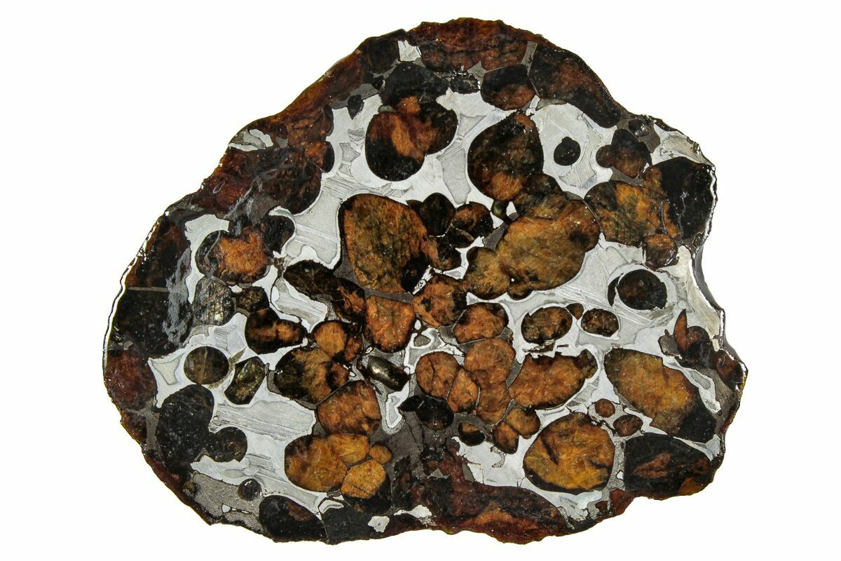 2.42" Sericho Pallasite Meteorite (19.16 g) Slice - Kenya (#335769) For ...