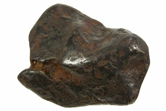 .91" Canyon Diablo Iron Meteorite (14.35 g) - Arizona (#335965) For ...