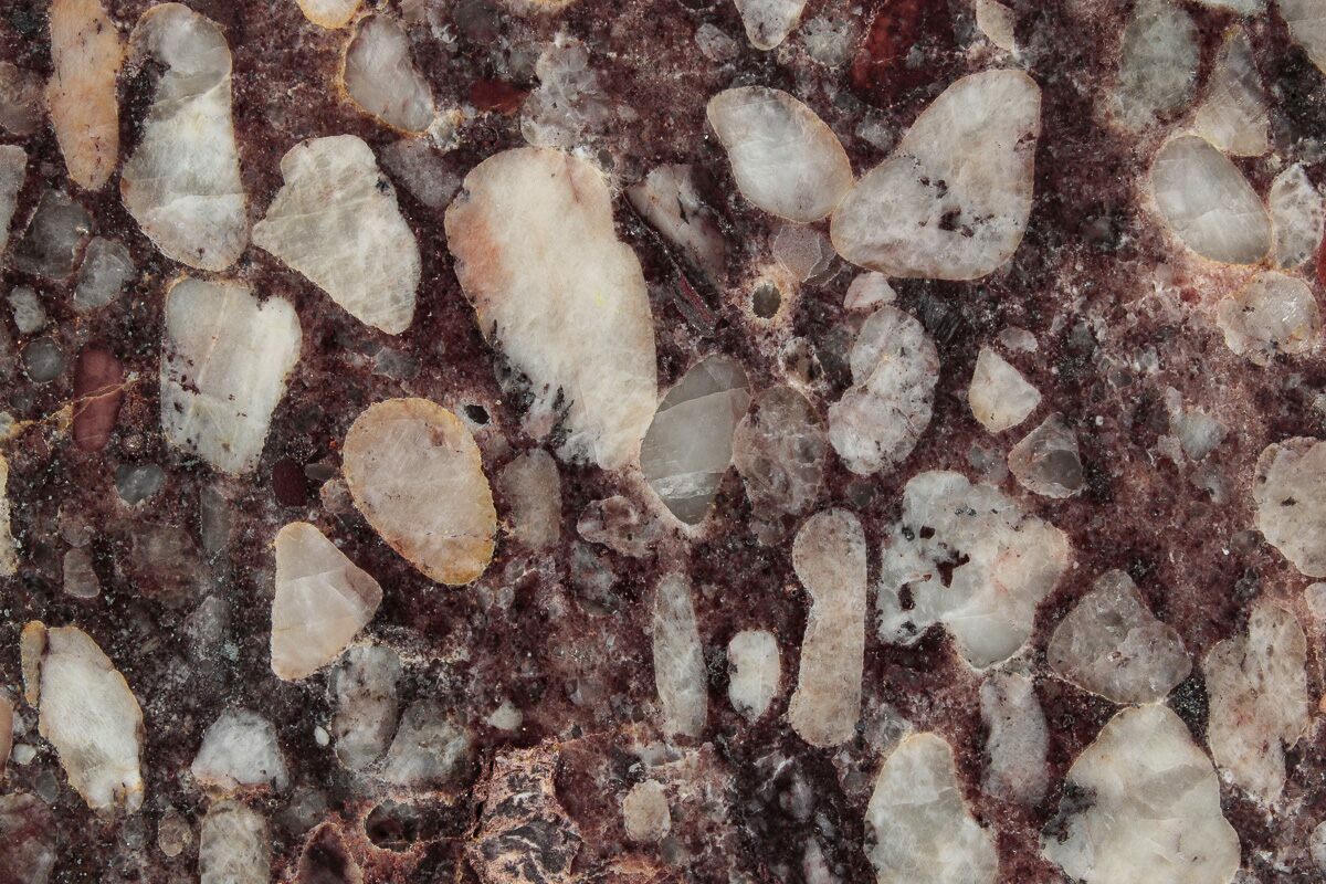6" Polished Pudding Stone (Conglomerate) Slab - Michigan (#336997) For ...