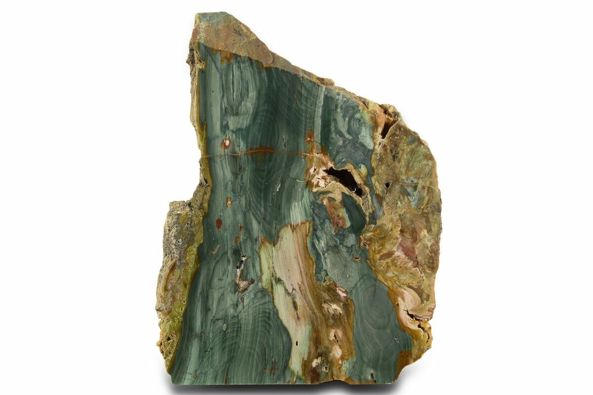 6.5" Free-Standing, Gary Green Jasper (Larsonite) Bog Wood - Oregon ...