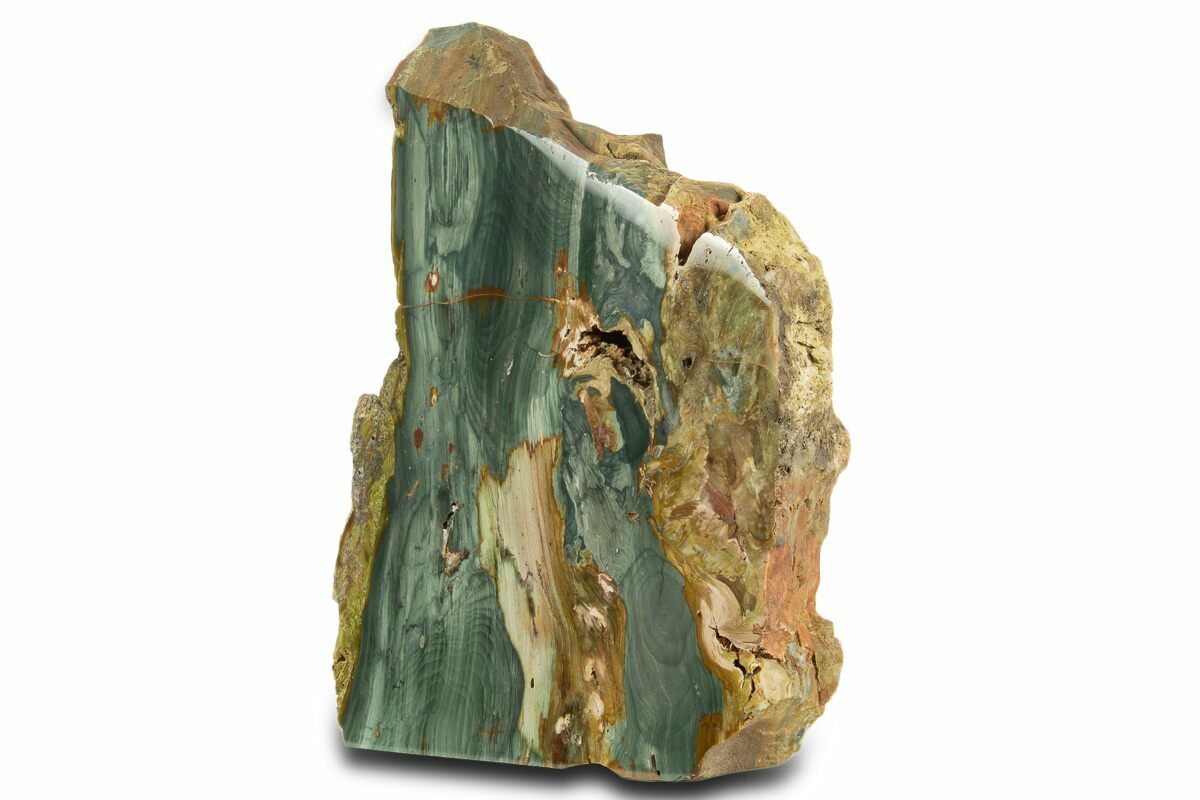 6.5" Free-Standing, Gary Green Jasper (Larsonite) Bog Wood - Oregon ...