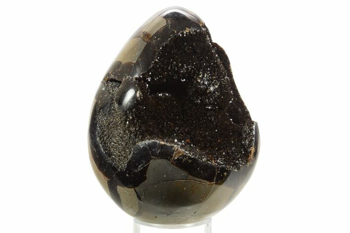 3.45" Septarian "Dragon Egg" Geode - Sparkly Black Crystals (#336465 ...
