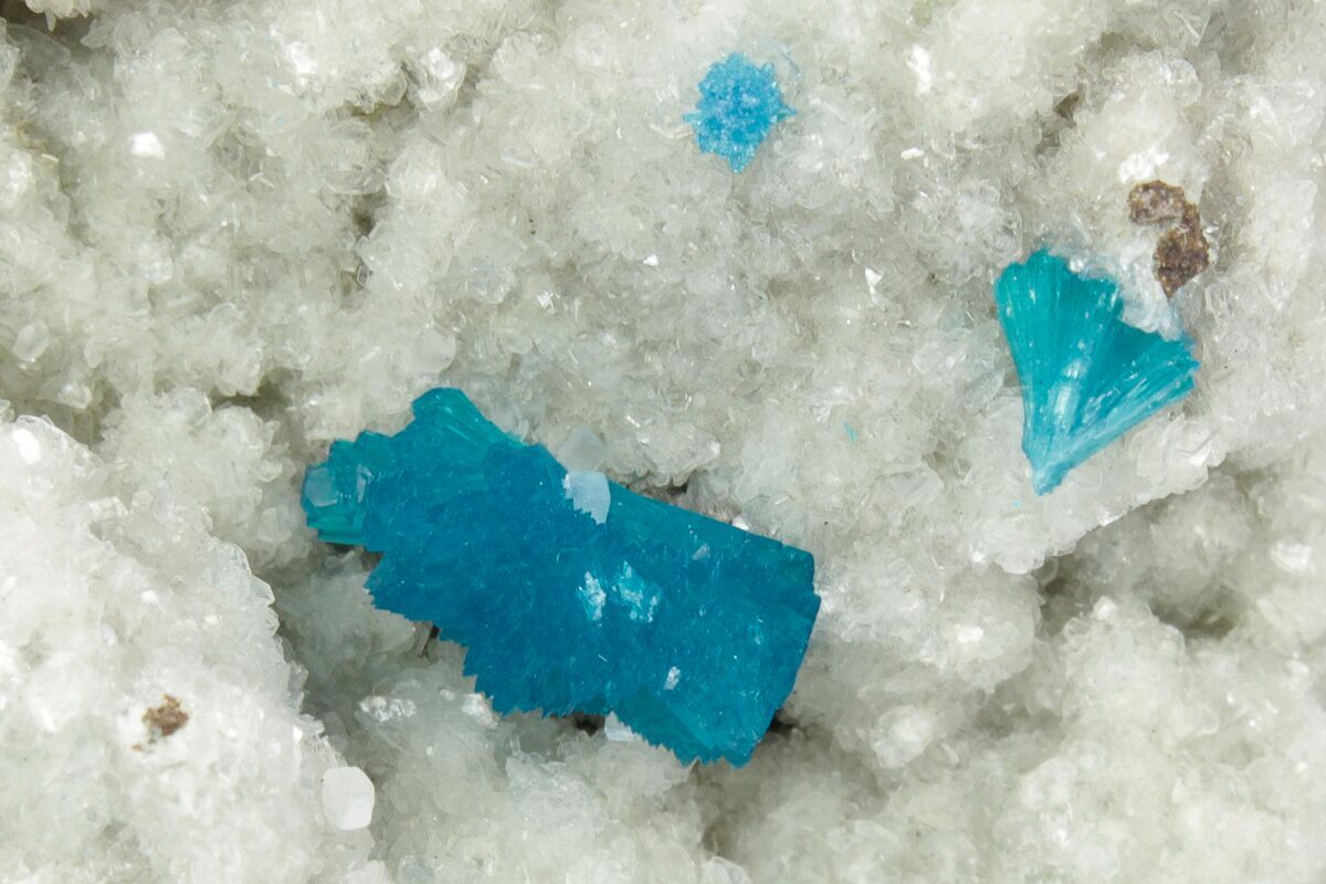 Vibrant Blue Cavansite Crystals on Sparkling Stilbite - India (#341000 ...