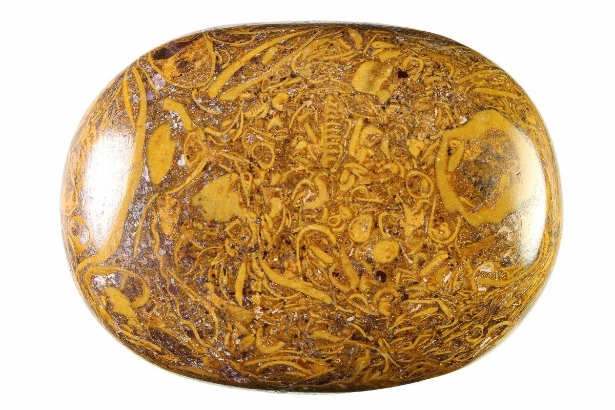 2.4" Polished Miriam Stone Palm Stone - India (#342287) For Sale ...