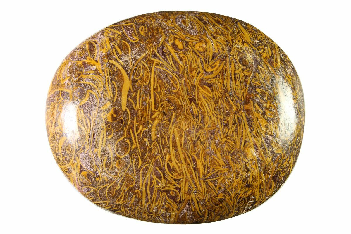 2.3" Polished Miriam Stone Palm Stone - India (#342290) For Sale ...