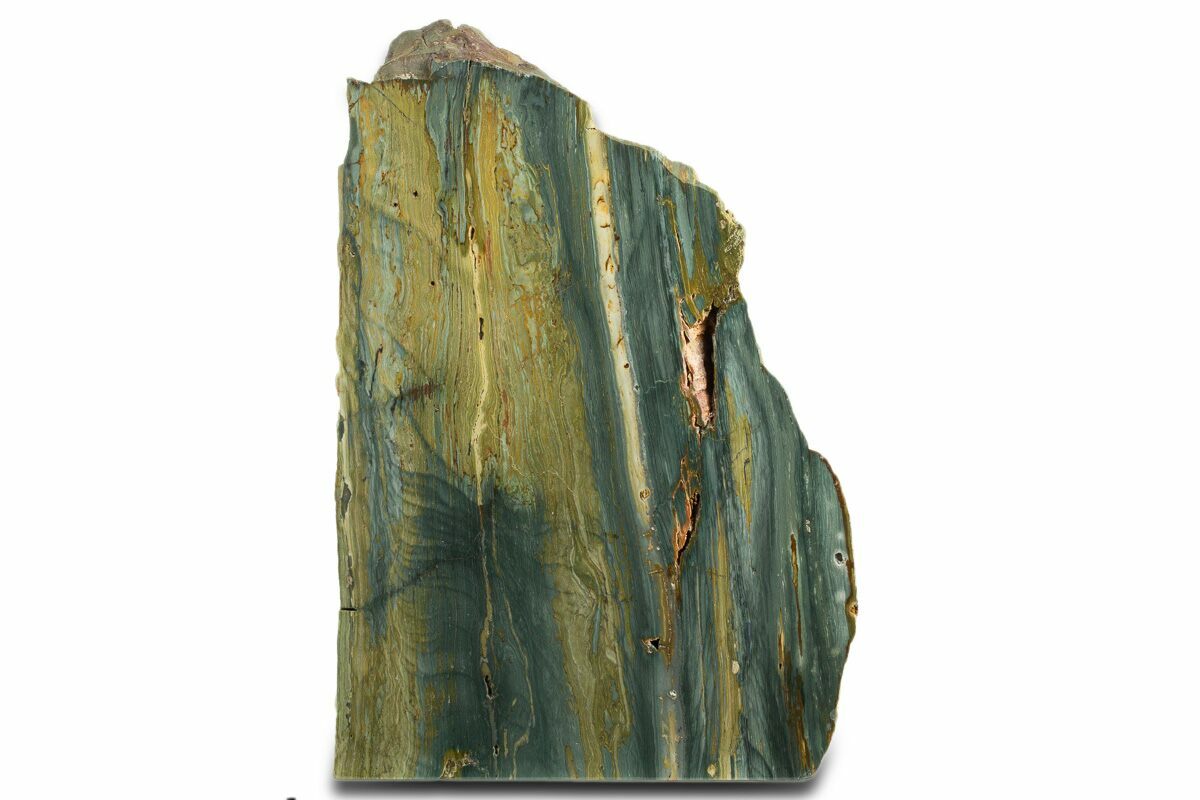 9.25" Free-Standing, Gary Green Jasper (Larsonite) Bog Wood - Oregon ...